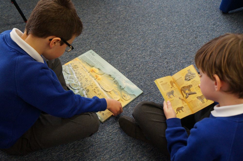 Photo Gallery – Beaudesert School