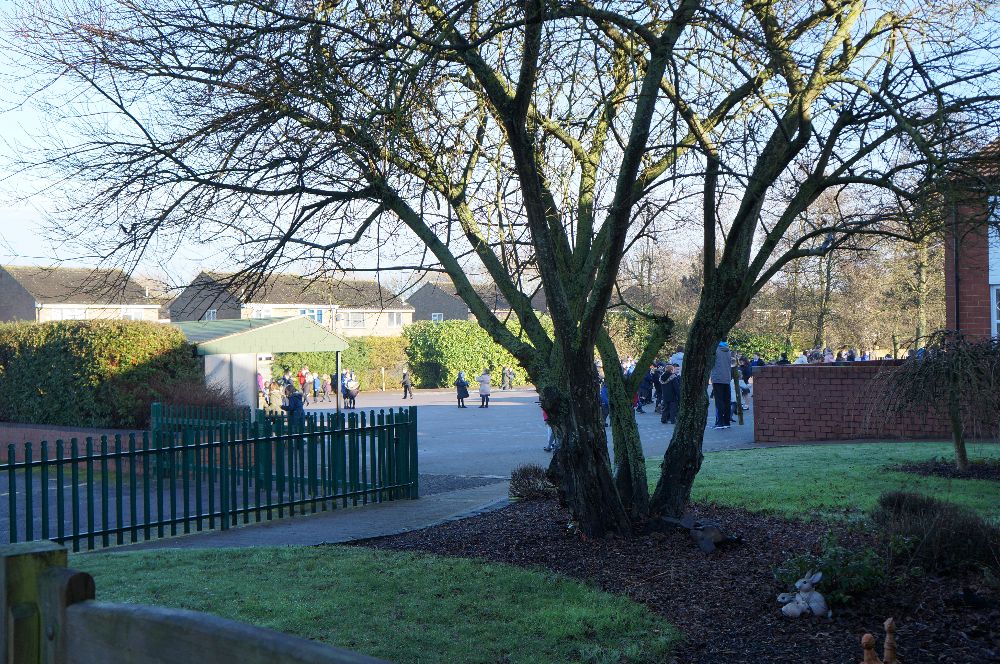 Welcome to Beaudesert Lower School – Beaudesert School