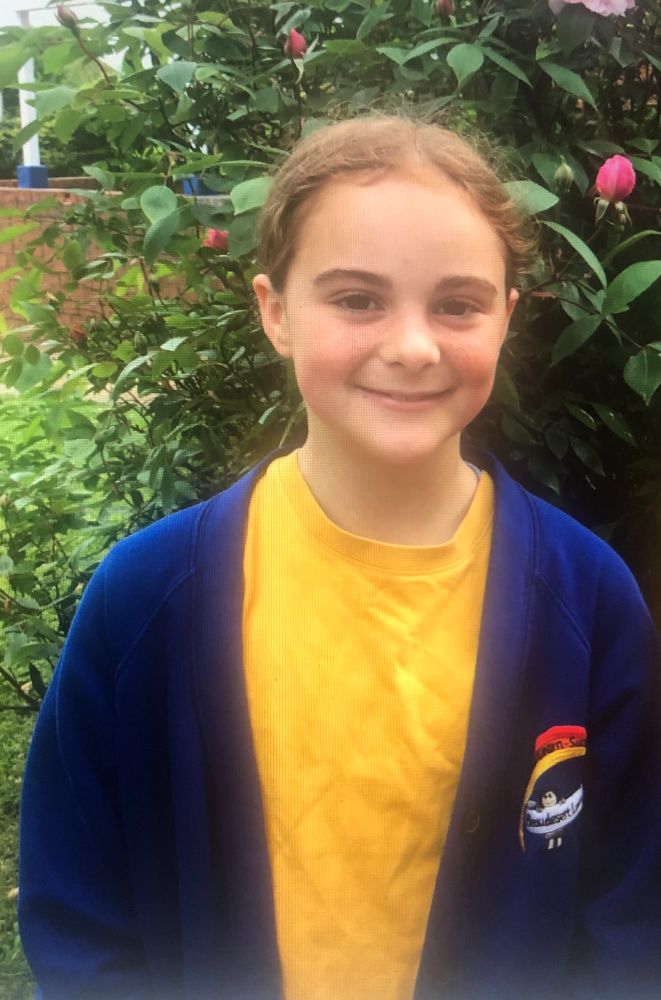 Wasps – Beaudesert School